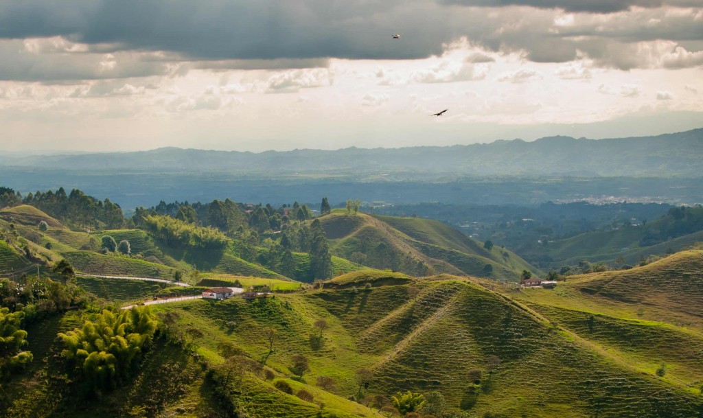 Colombia | International Service Learning Online